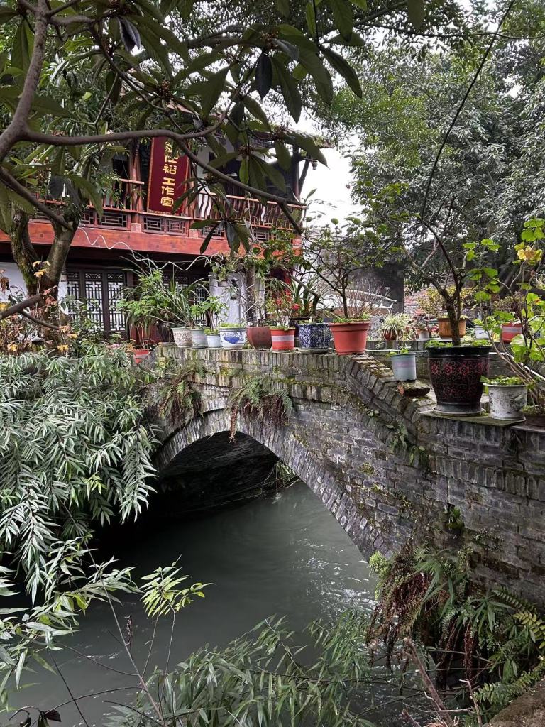 Ancient Towns in Chengdu Area – Walk with the Dragon